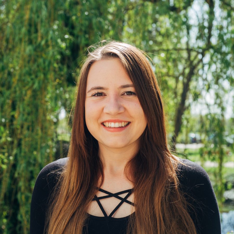 Anna Fischer › Gemeinsam Gifhorn